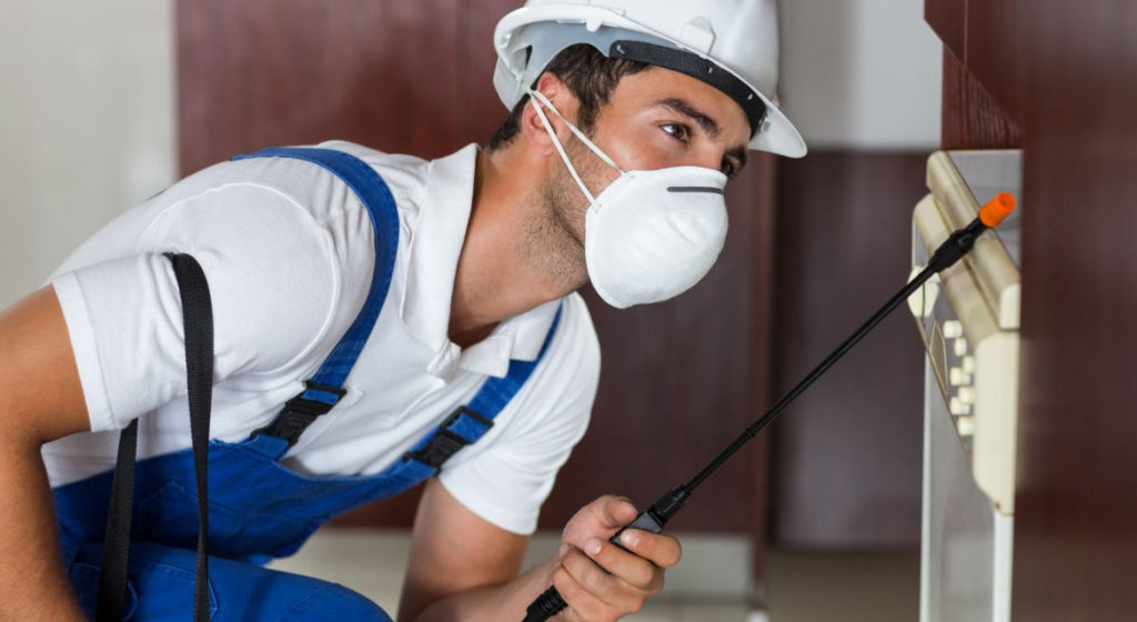 EXTREME PEST & TERMITE LLC – Serving the Greater Winchester, VA Area